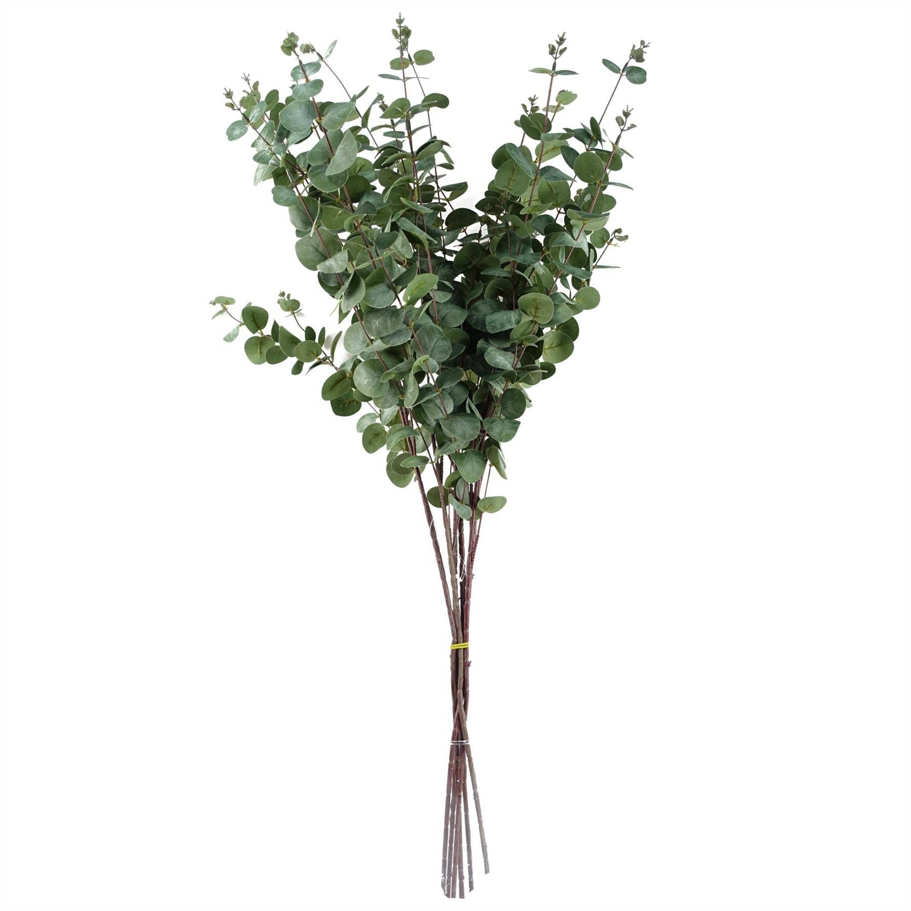 Artificial Foliage Eucalyptus Foliage 100cm – Sitara Morgan Boutique