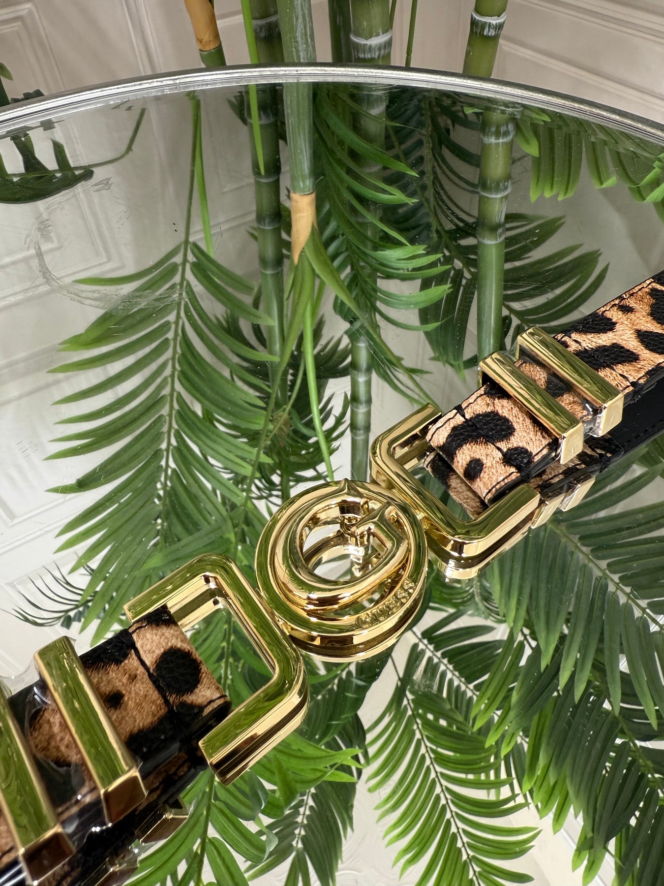 Guess Cirene Leopard Black Belt – Sitara Morgan Boutique